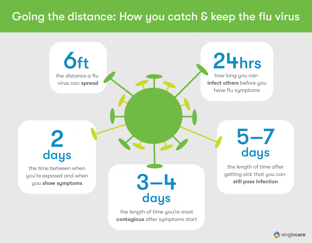Flu statistics: The facts about influenza and flu season
