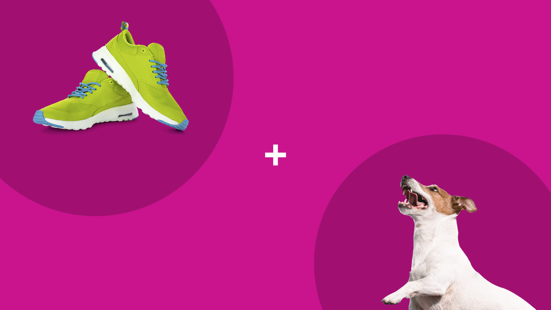 How Dogs Help Your Health