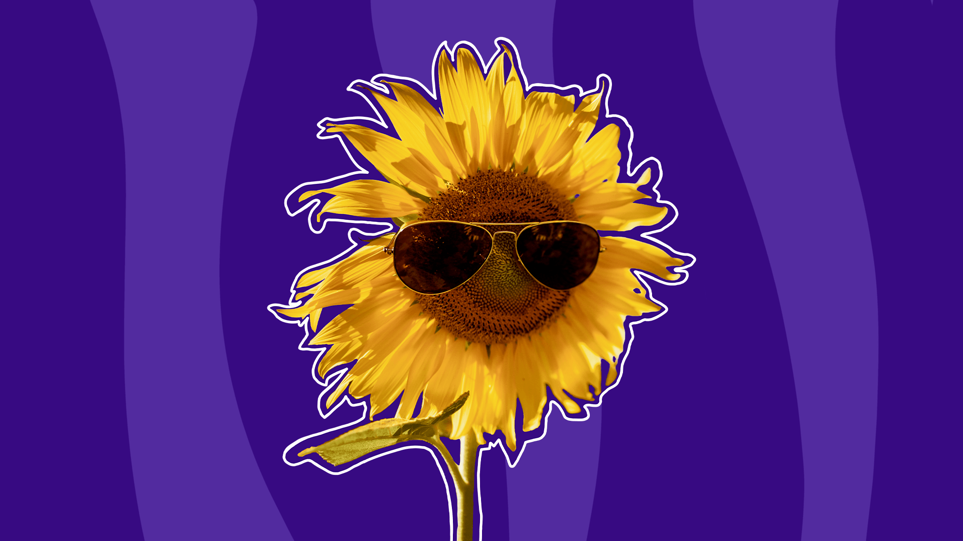 10 proven benefits of sunlight for your health