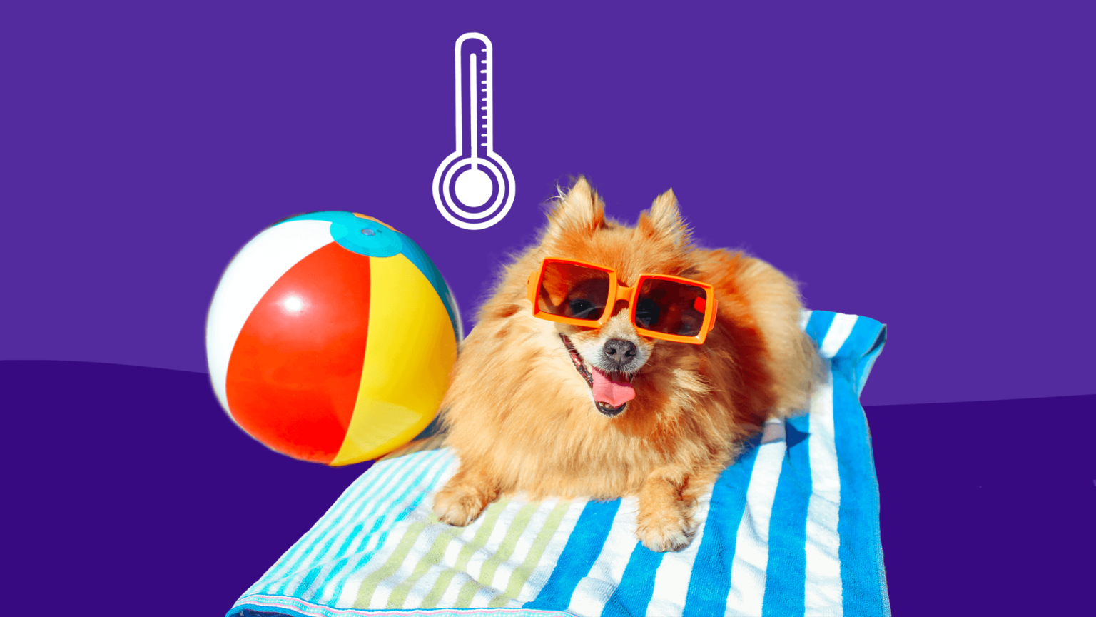 Signs of heat exhaustion in dogs and how to treat it