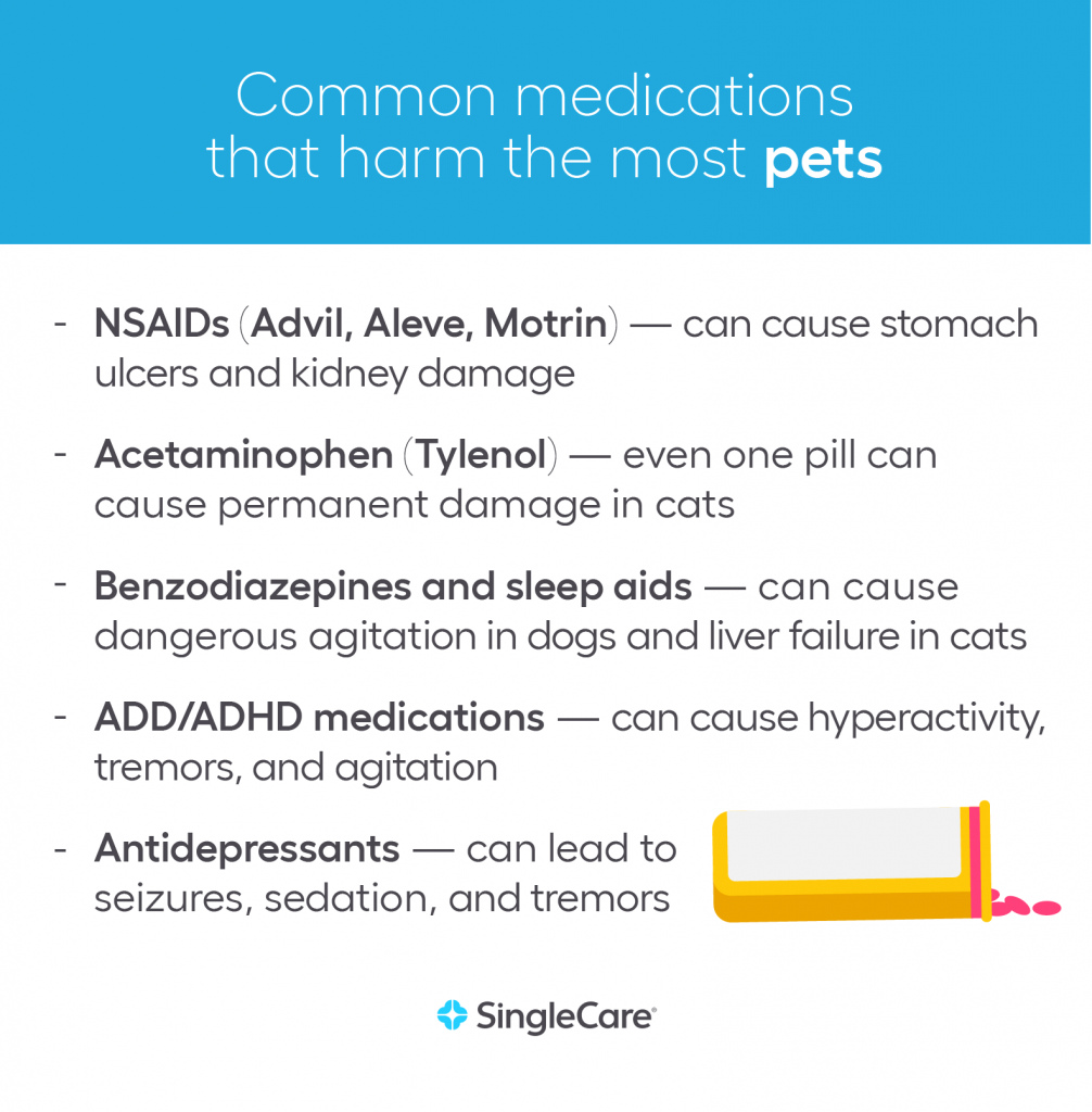 Help! My pet ingested one of my pills