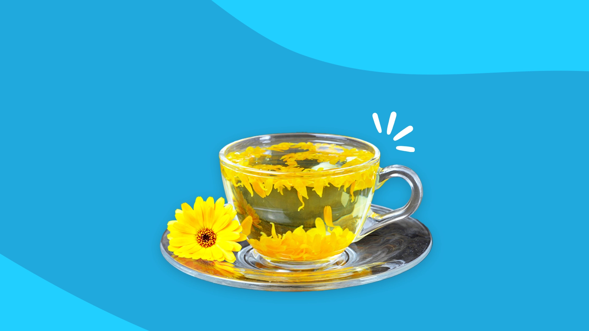 6 calendula tea benefits