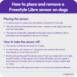 FreeStyle Libre for dogs: Benefits and risks of CGMs for pets